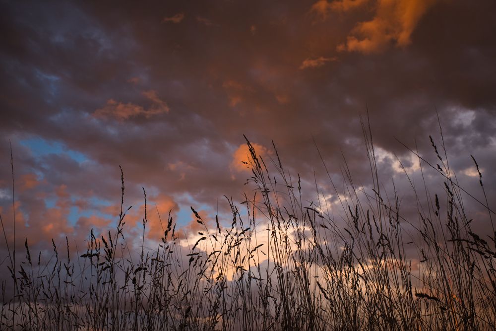 Guten Abend! Foto & Bild | sonnenuntergänge, himmel & universum, natur ...