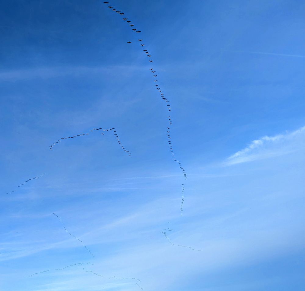 Guten Flug! Foto & Bild | landschaft, luftaufnahmen, natur Bilder auf ...