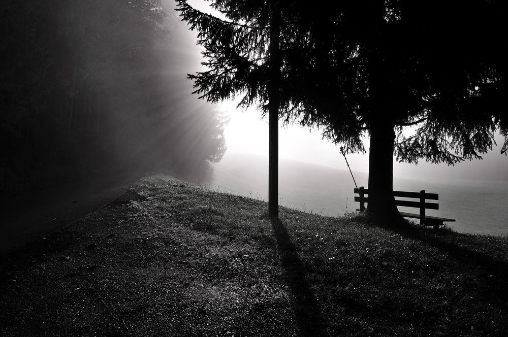Guten Morgen Foto & Bild | landschaft, lebensräume, landschaften u ...