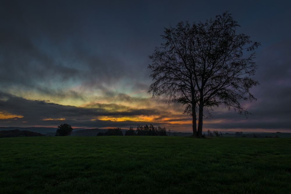 Guten Morgen ! Foto & Bild | fotos, canon, nature Bilder auf fotocommunity