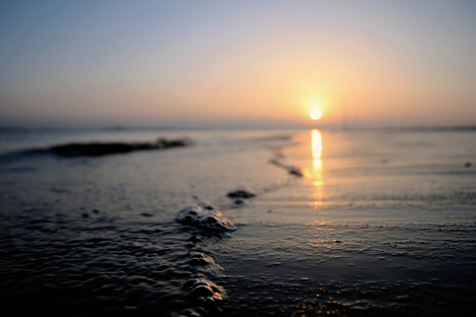 Guten Morgen! Foto & Bild | deutschland, europe, niedersachsen Bilder ...