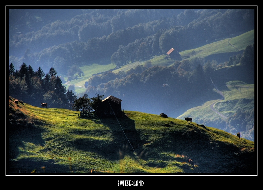 Guten Morgen Foto & Bild | europe, schweiz & liechtenstein, kt. schwyz ...