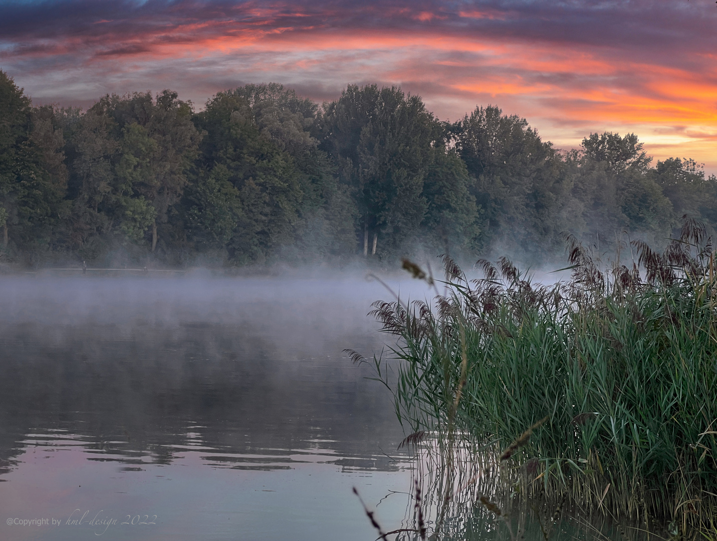 Guten Morgen Foto & Bild | landschaft, jahreszeiten, sommer Bilder auf ...