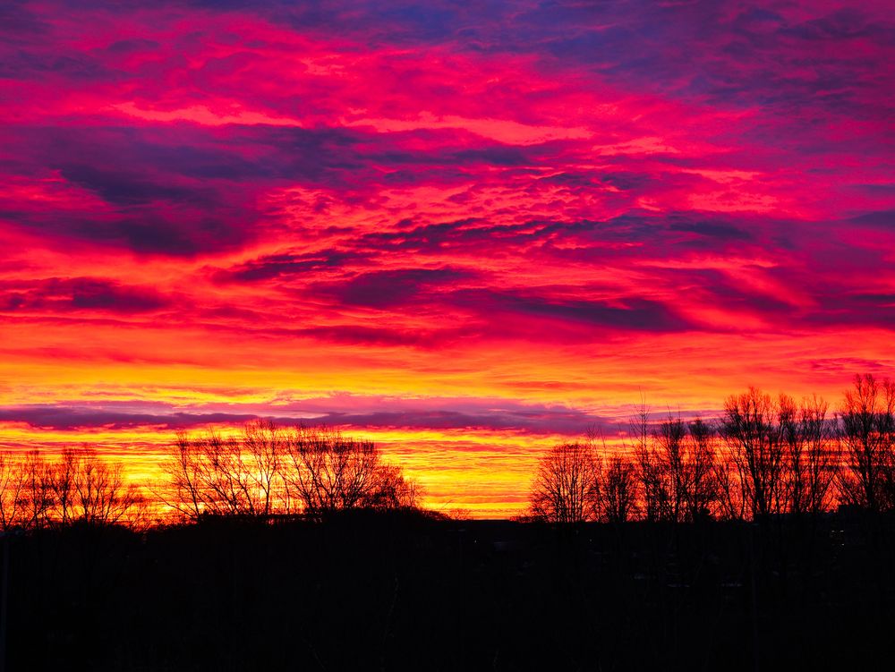 Guten Morgen Foto & Bild | Bilder auf fotocommunity