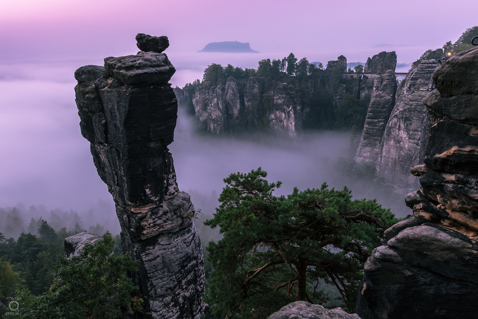 *Guten Morgen* Foto & Bild | canon, nature, sonnenaufgang Bilder auf ...