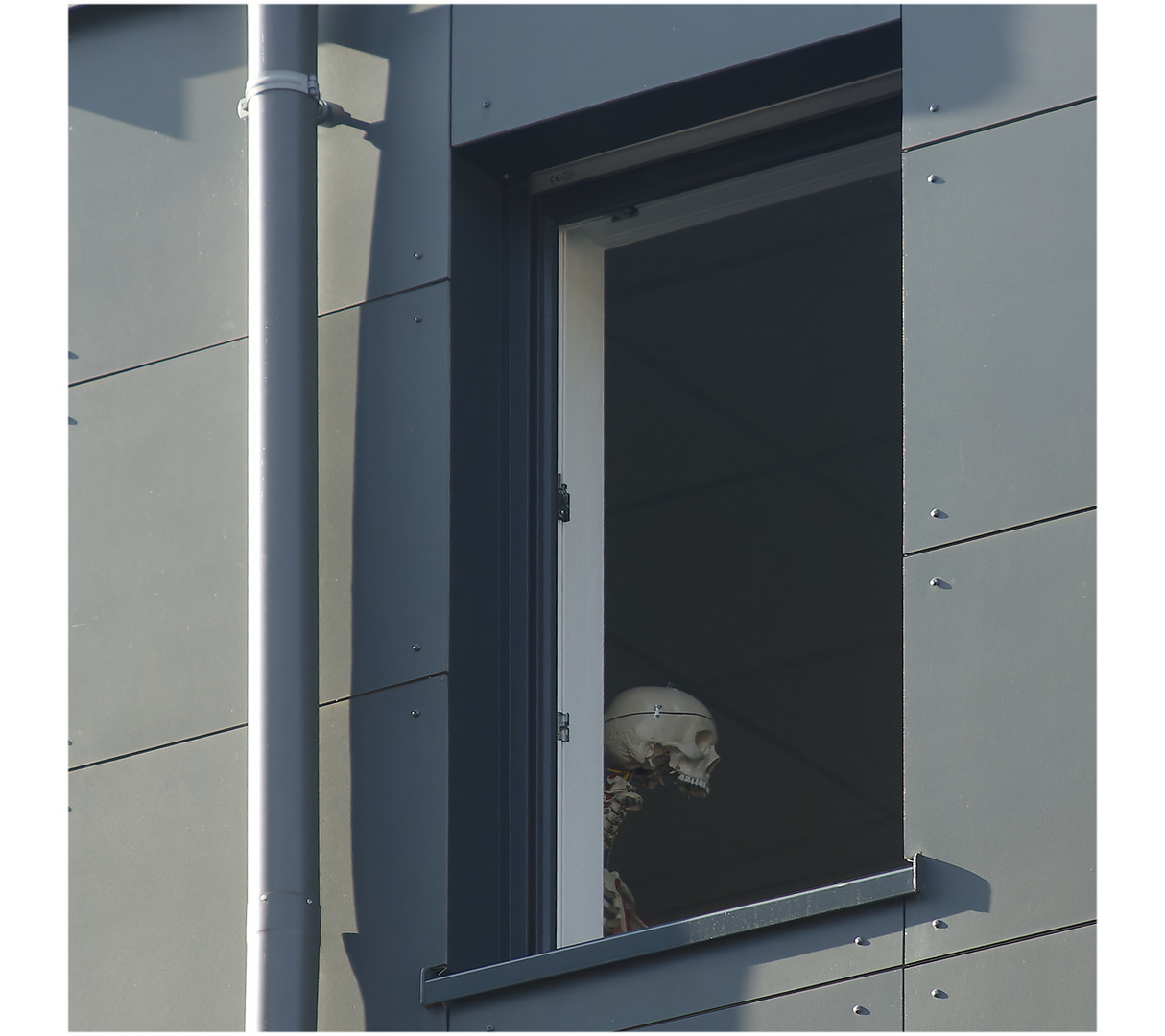 Guten Morgen ... ich lach mich kaputt Foto & Bild | fotos, spezial ...