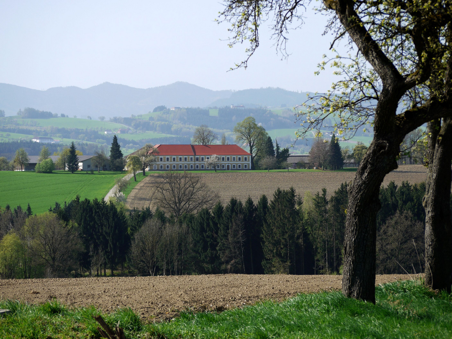 Gutshof im Mostviertel Foto & Bild | architektur, ländliche architektur ...