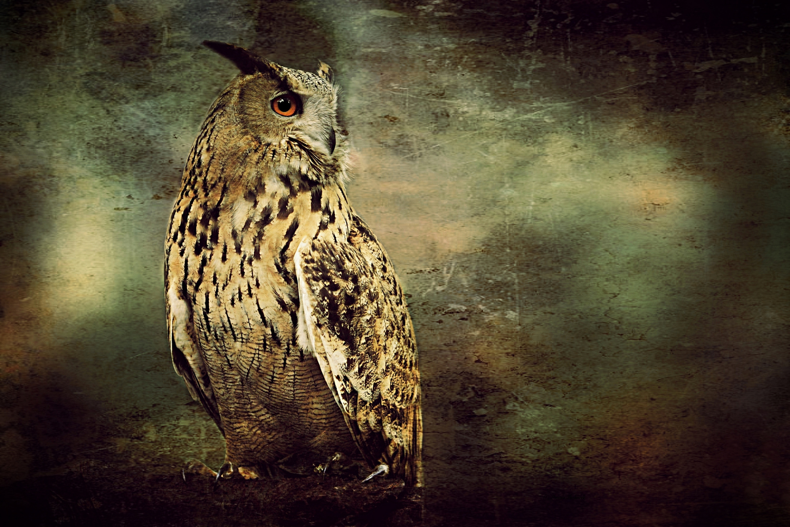 H Y P N O T I Z E D Foto And Bild Fotos World Spezial Bilder Auf Fotocommunity