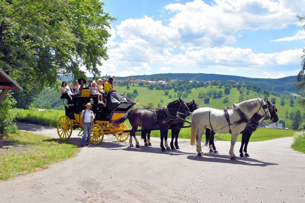 Hab mein Wagen voll geladen... Foto & Bild | natur, portrait, pferde ...