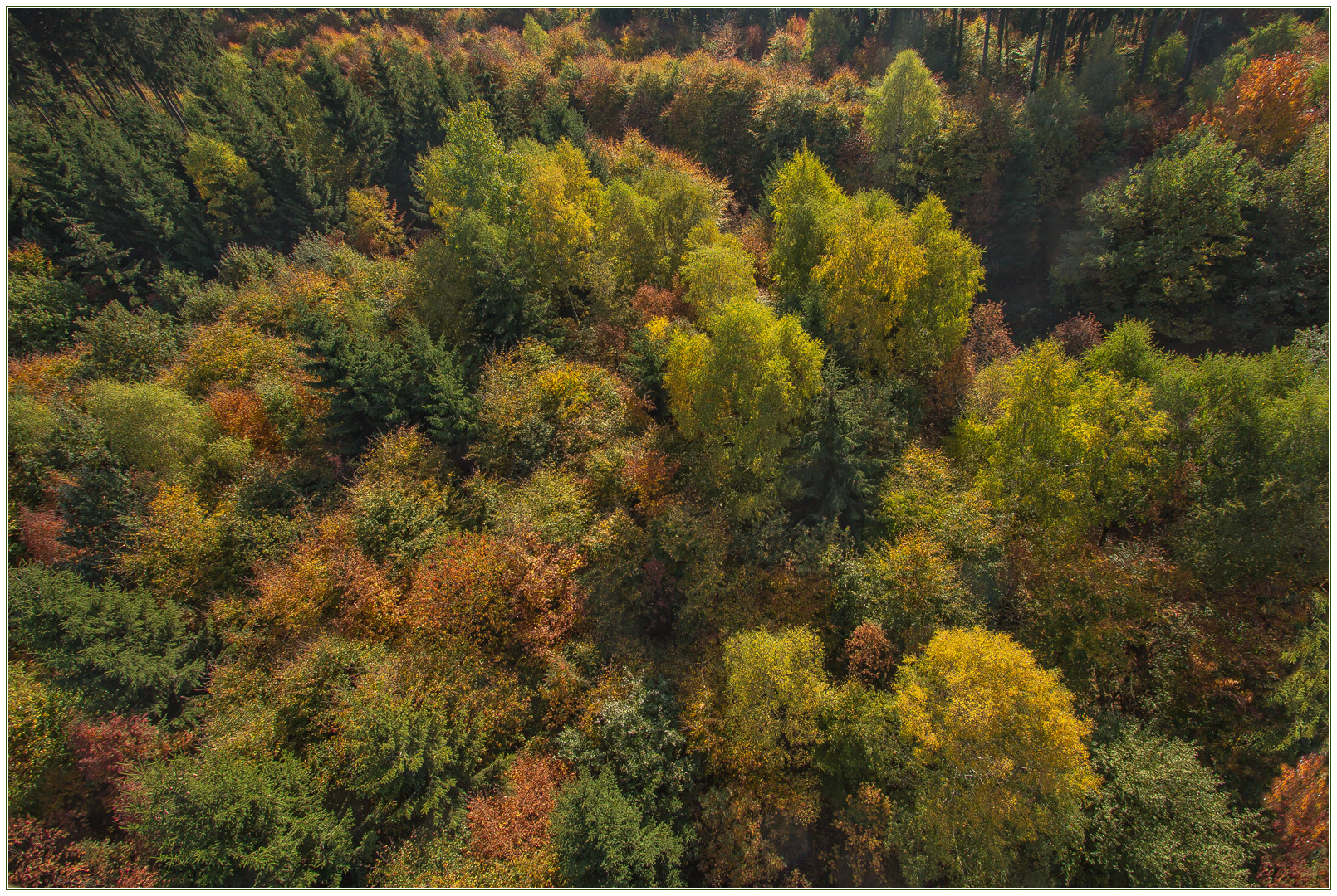 Habichtsperspektive: Herbstbunter Solling... Foto & Bild | wald, natur ...