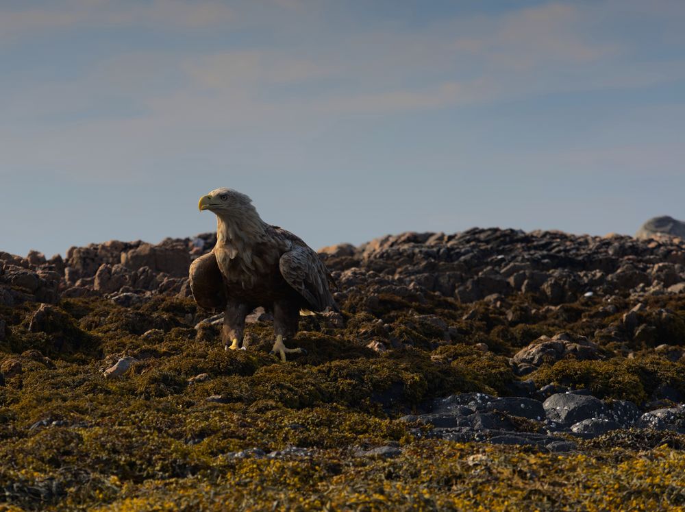 Habt Ihr Fisch dabei? Foto & Bild | europe, scandinavia, norway Bilder ...