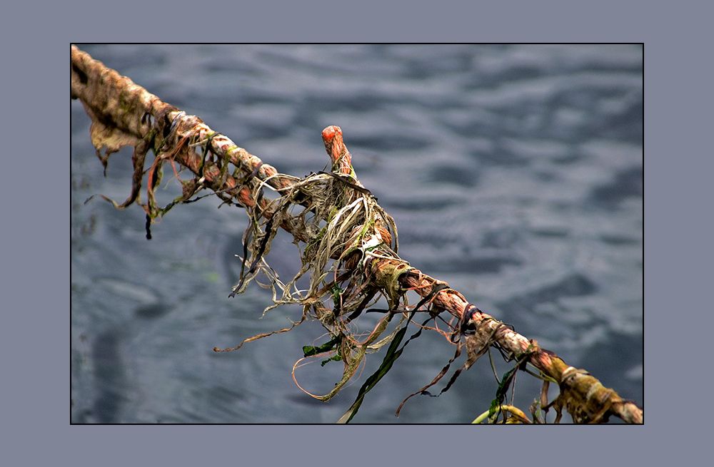 Hängen geblieben.... Foto & Bild | stillleben, zufällige arrangements ...