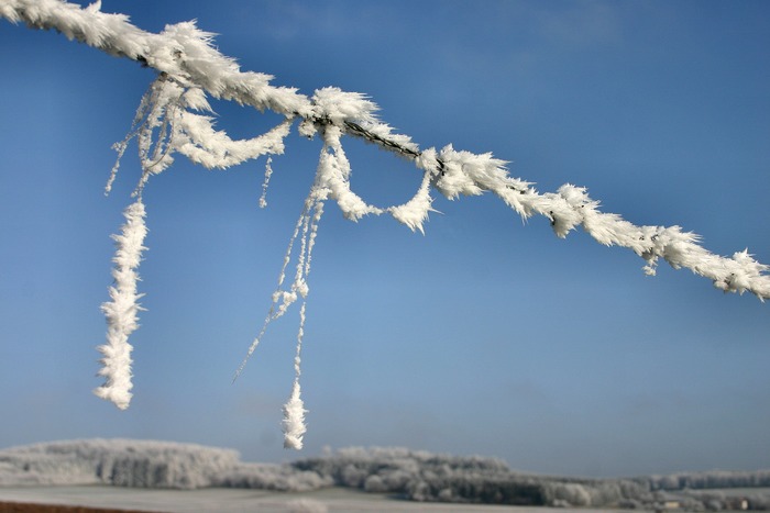Hängen geblieben Foto & Bild | deutschland, europe, hessen Bilder auf ...