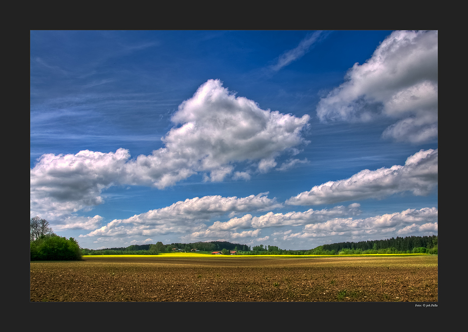 Häubchen 03 Foto & Bild | deutschland, europe, bayern Bilder auf ...