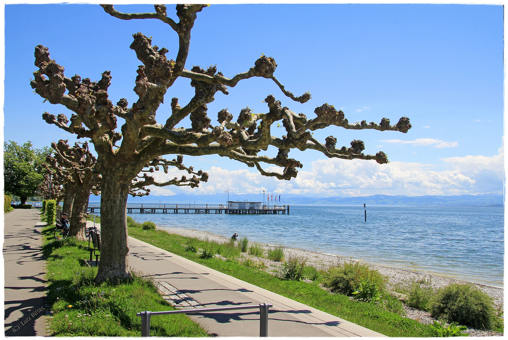 Hagnau Foto & Bild | urlaub, world, wasser Bilder auf fotocommunity