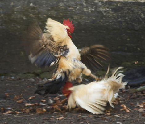 Sam Jost - Fotos & Bilder - Fotograf | fotocommunity