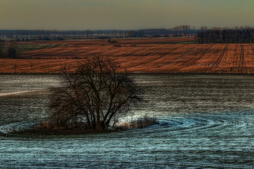 Halb & halb Foto & Bild | deutschland, europe, brandenburg Bilder auf ...