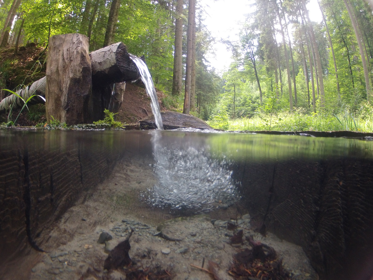 Halb-Halb Foto & Bild | wasser, natur, landschaft Bilder auf fotocommunity