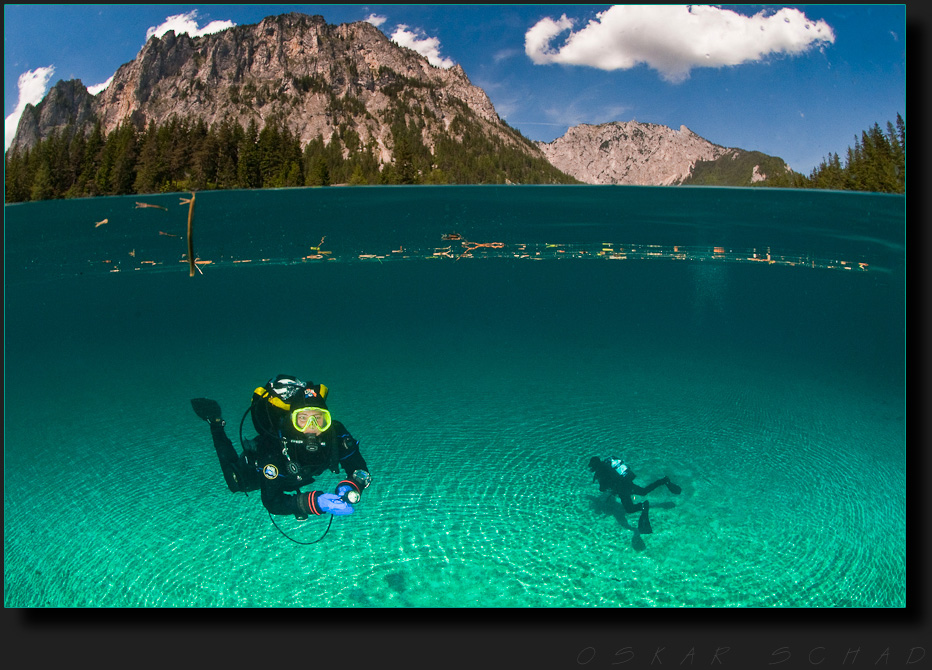 .: Halb-Halb :. Foto & Bild | unterwasser, uw-süsswasser, natur-kreativ ...