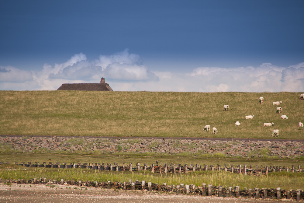 Halb und Halb Foto & Bild | deutschland, europe, schleswig- holstein ...