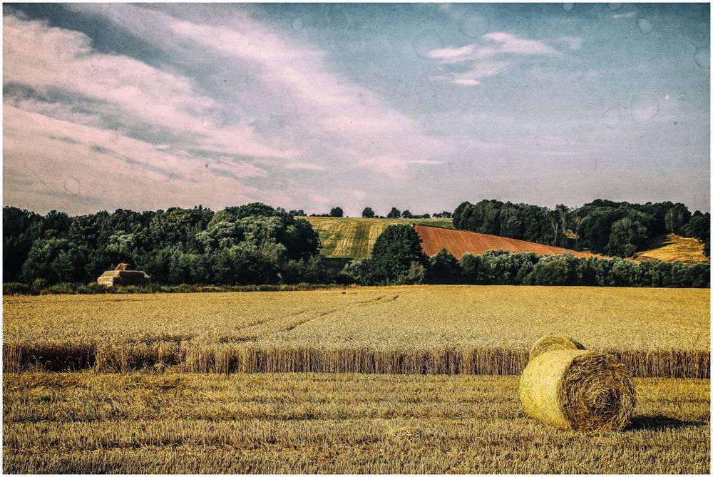 Halbe Ernte Foto & Bild | art, world, spezial Bilder auf fotocommunity