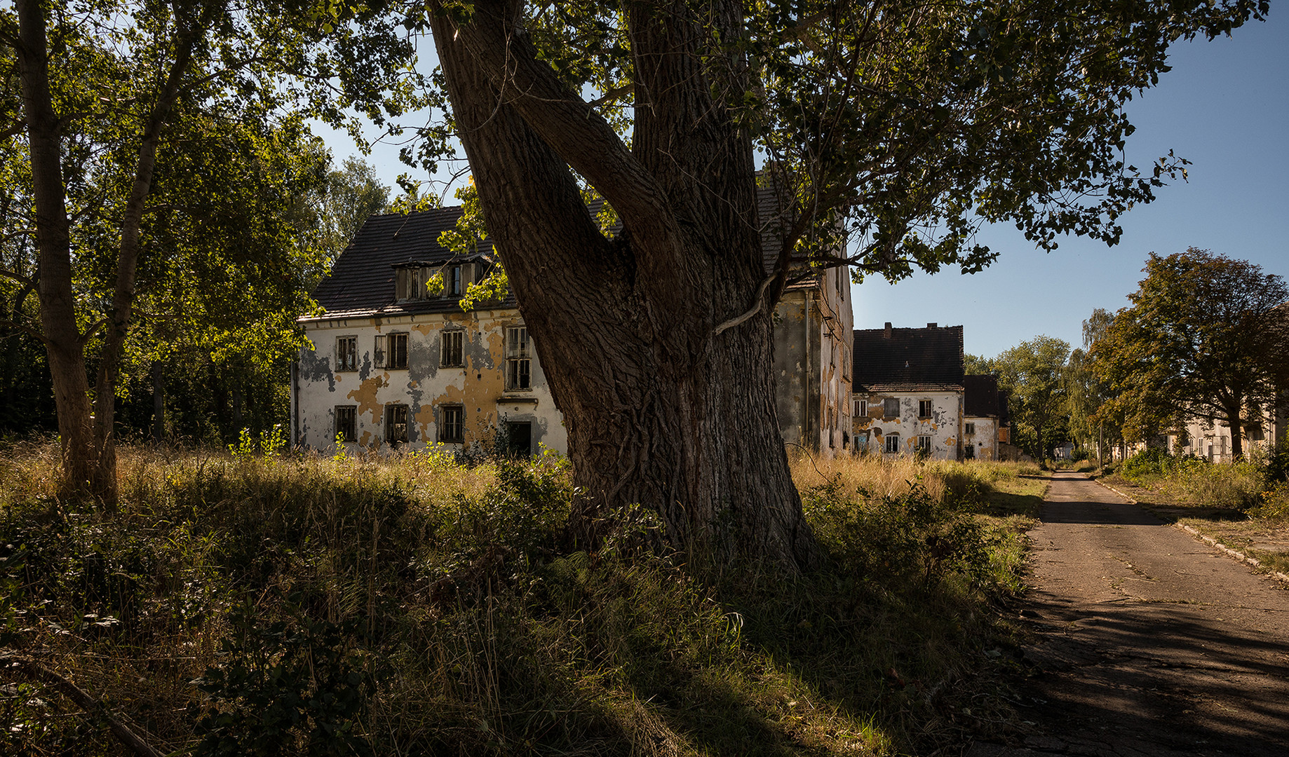 Halbinsel Wustrow II Foto & Bild | marodes, ostsee, wustrow Bilder auf ...