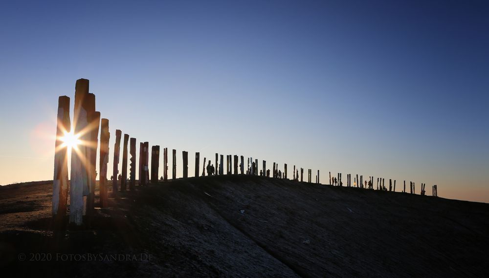 Halde Haniel Foto & Bild | sonnenuntergang, natur, industriekultur ...