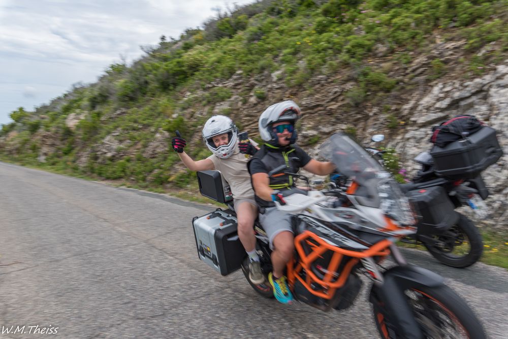 Halli Hallo, und weg waren sie Foto & Bild | fotos, world, spezial ...