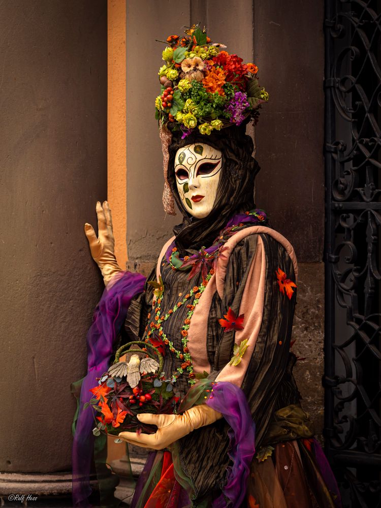 Hallia Venezia 2023 Foto & Bild | reportage dokumentation, usertreffen ...