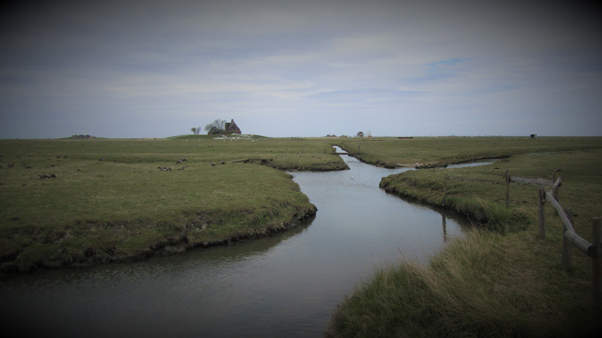Hallig Hooge Foto & Bild | landschaft, meer & strand, natur Bilder auf ...