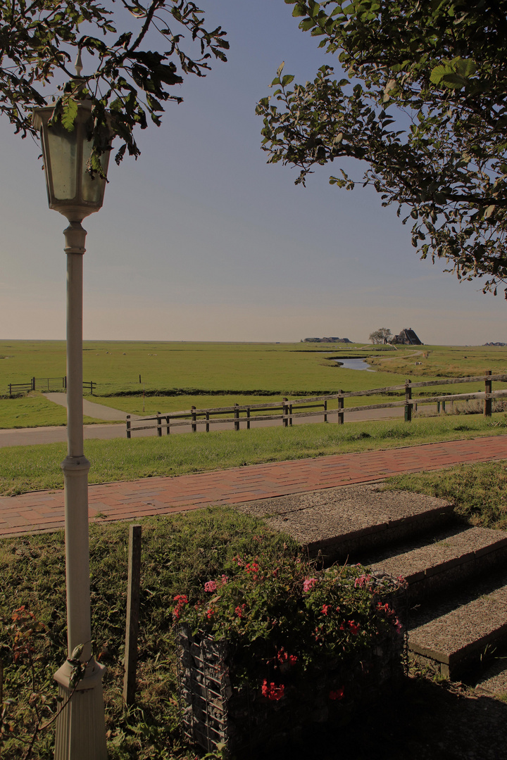 Hallig Hooge Foto & Bild | natur, deutschland, nationalpark Bilder auf ...