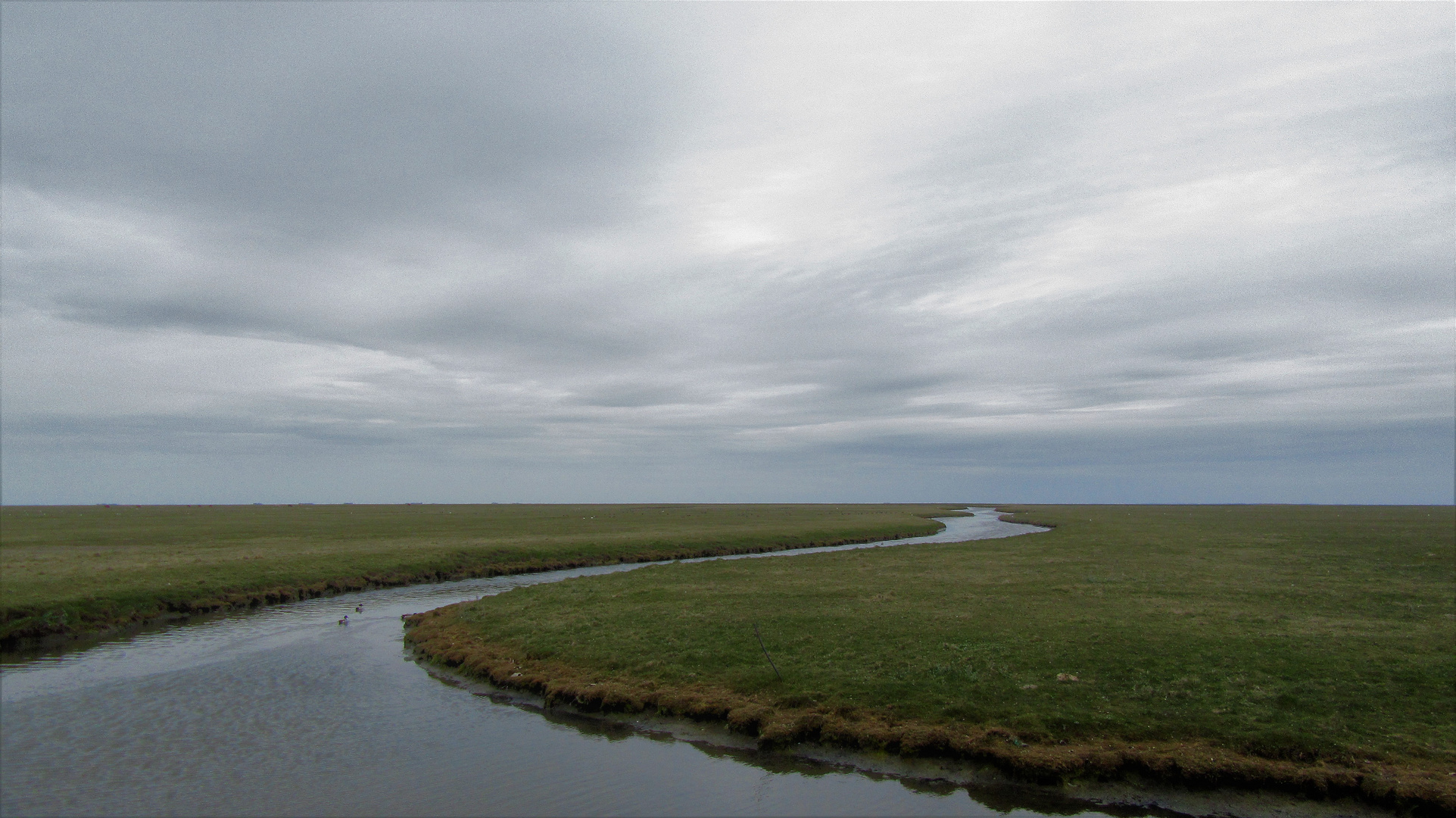 Hallig Hooge Foto & Bild | landschaft, meer & strand, natur Bilder auf ...