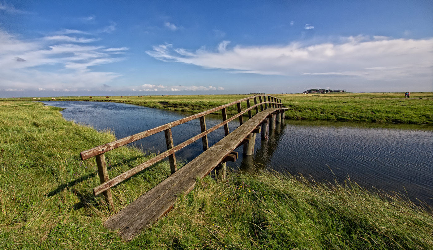 Hallig Hooge Foto & Bild | landschaften, hooge, natur Bilder auf ...