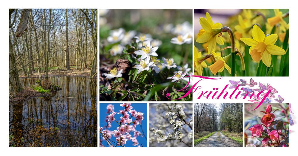 Hallo Frühling Foto & Bild | jahreszeiten, frühling, natur Bilder auf fotocommunity
