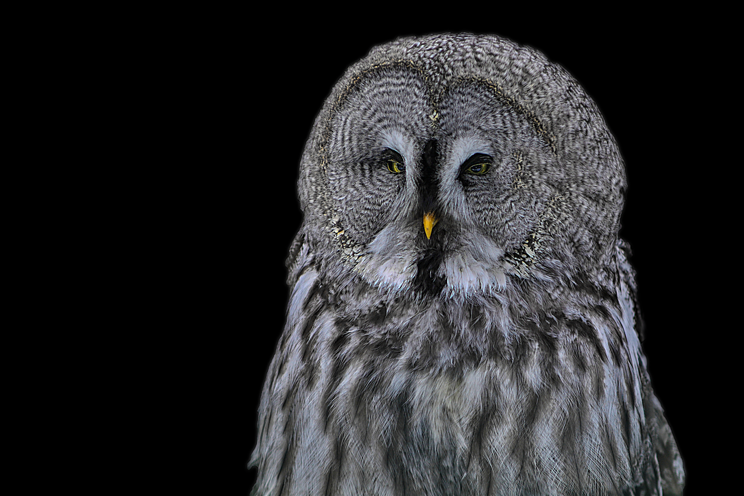 Hallo Leute, Foto & Bild | art, spezial, outdoor Bilder auf fotocommunity