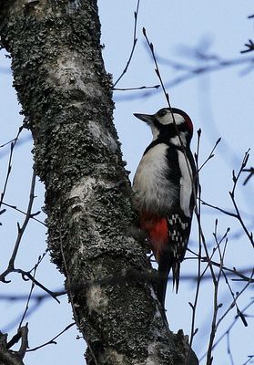 Thomas Huberty - Fotos & Bilder - Fotograf aus Mogendorf, Deutschland ...