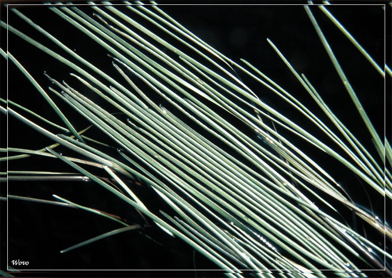 Halme Foto & Bild | europe, scandinavia, norway Bilder auf fotocommunity