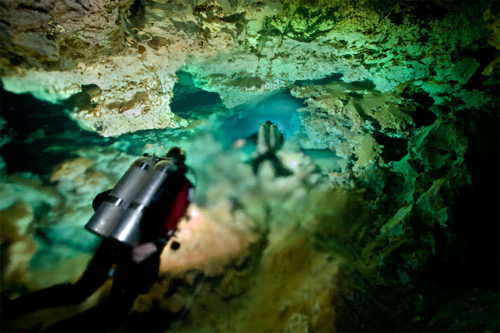 Halocline Foto & Bild | unterwasser, uw-süsswasser, natur-kreativ ...