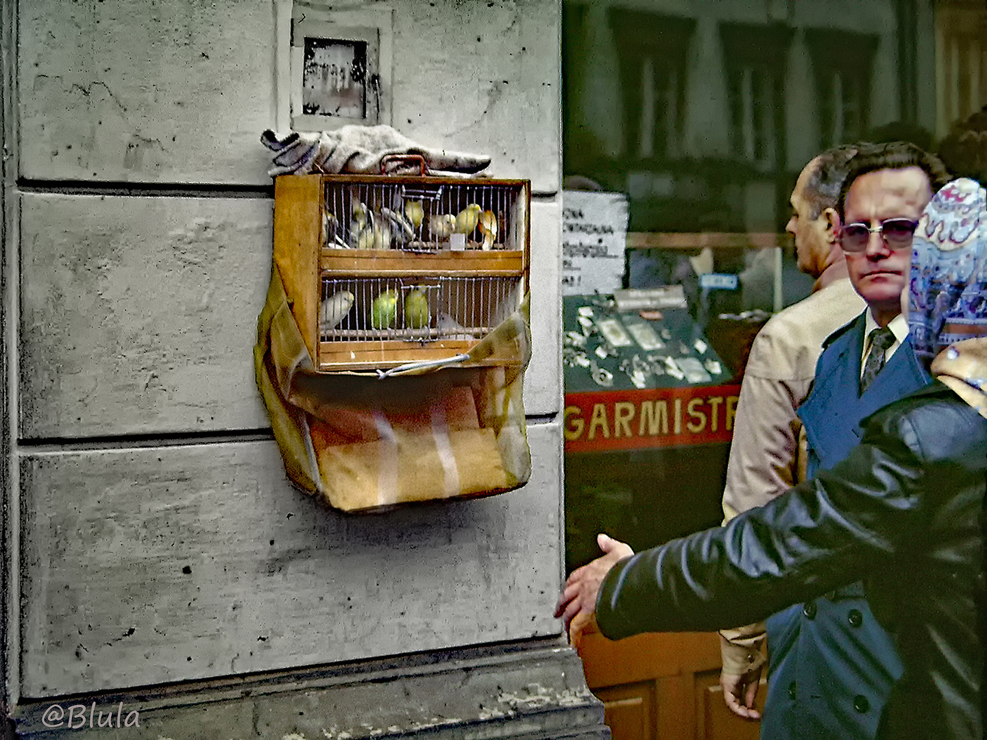 Halt, brauchen Sie vielleicht einen Vogel ?.... Polen 1984 (Scan vom ...