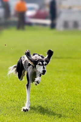 Andreas Wanner - Fotos & Bilder - Fotograf | fotocommunity