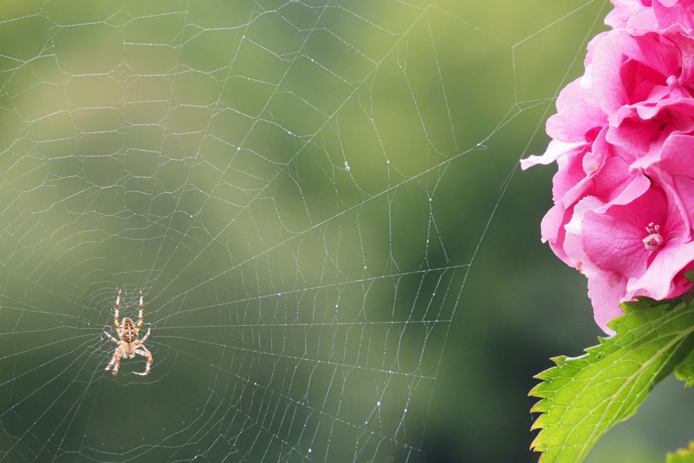 halt geben... Foto & Bild | projekte, 4 - donnerstag mit durchblick ...
