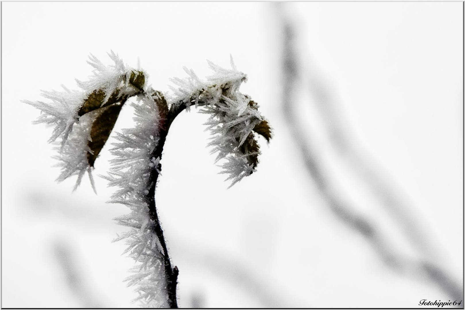 Halte durch Foto & Bild | jahreszeiten, winter, techniken Bilder auf ...