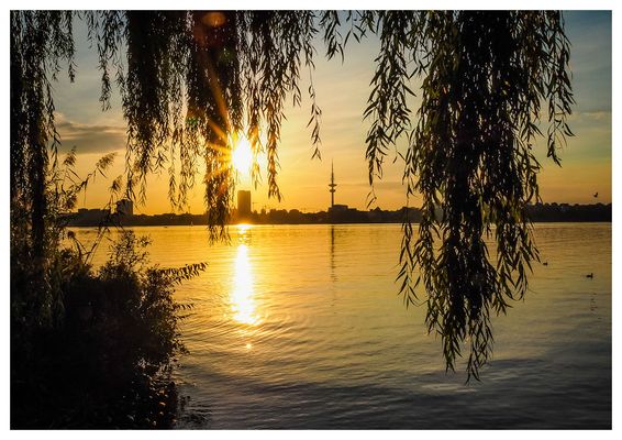 Alster Bilder & Fotos