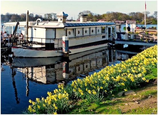 Alster Bilder & Fotos