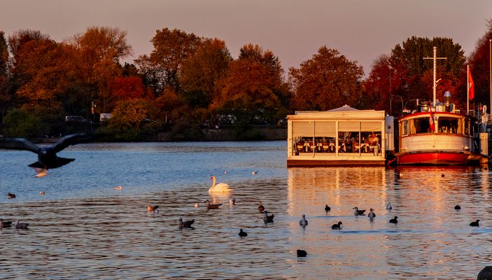 Alster Bilder & Fotos