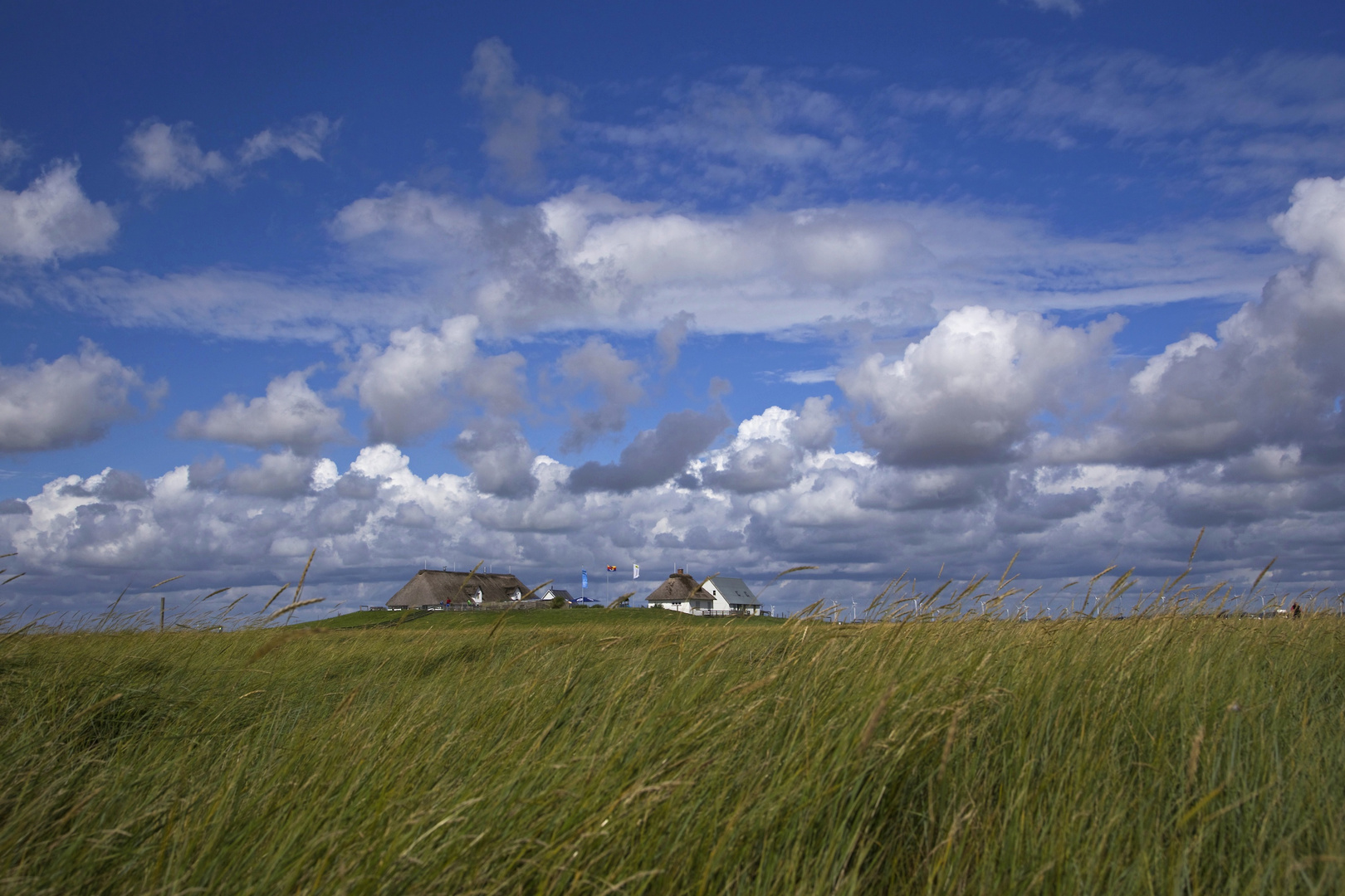 Hamburger Hallig Foto & Bild | sommer, wolken, himmel Bilder auf ...