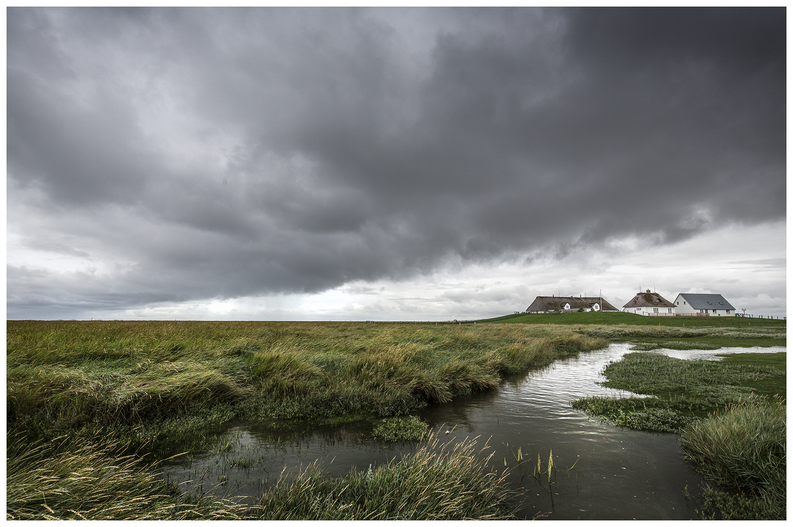 Hamburger Hallig Foto & Bild | deutschland, europe, schleswig- holstein ...