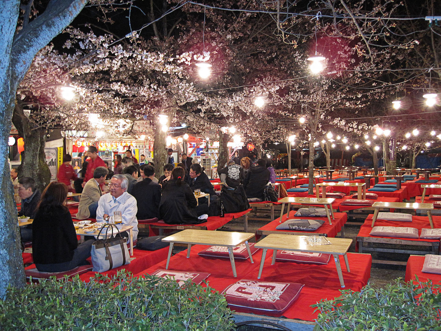 Hanami - Kirschblütenfest Foto & Bild | asia, japan, east asia Bilder ...