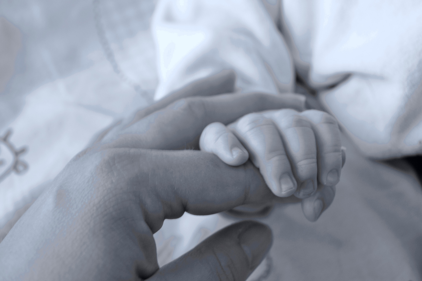 Hand in Hand Foto & Bild | kinder, babies, menschen Bilder auf ...