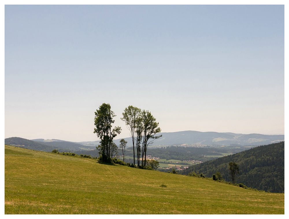 Hanglage Foto & Bild | bayerischer wald Bilder auf fotocommunity